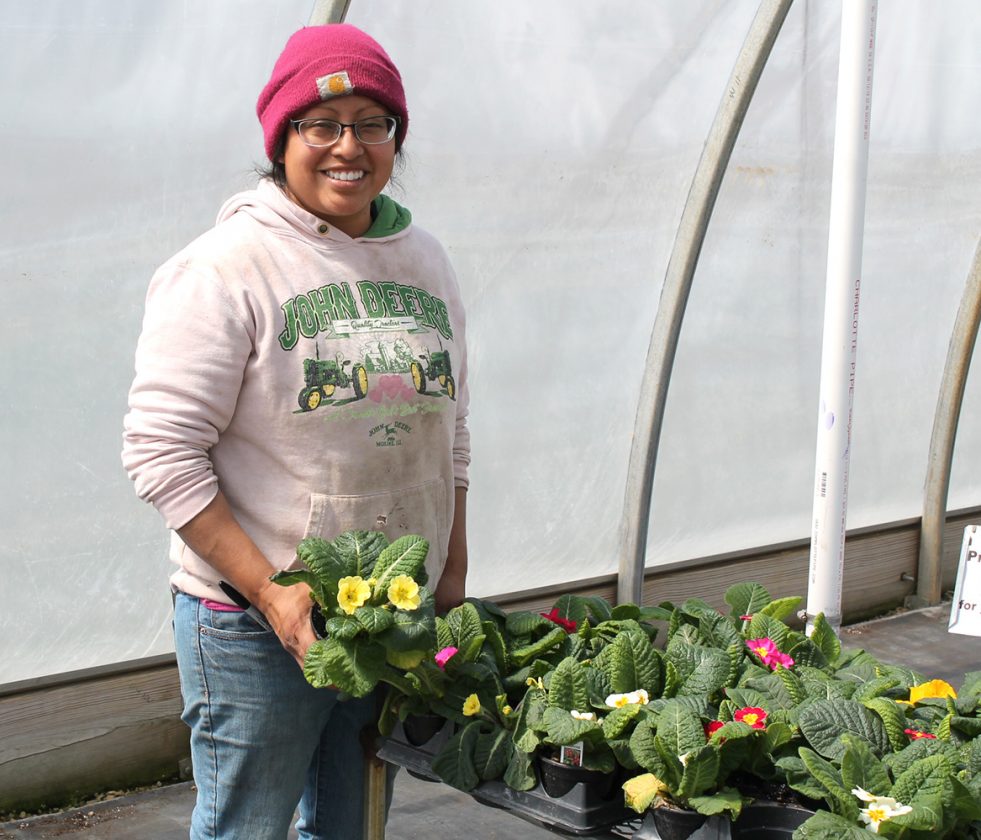 Catalpa Farms offering to put a little spring in your step | News ...